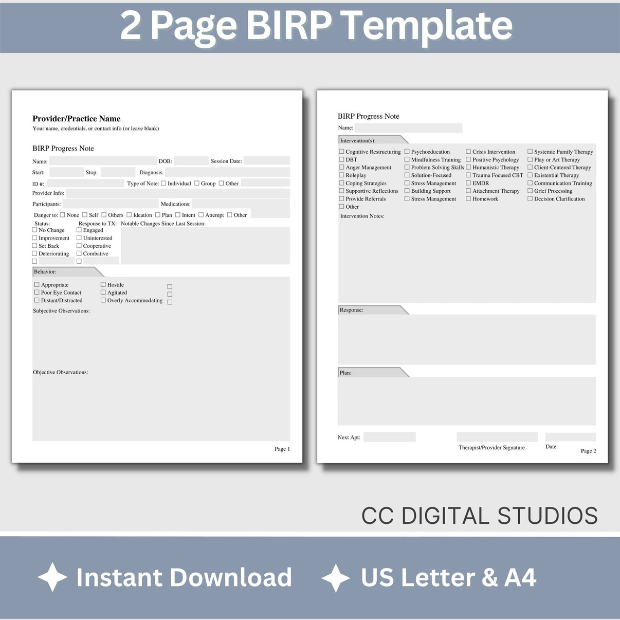 BIRP Progress Note Template: Thorough & Accurate Client Notes ...
