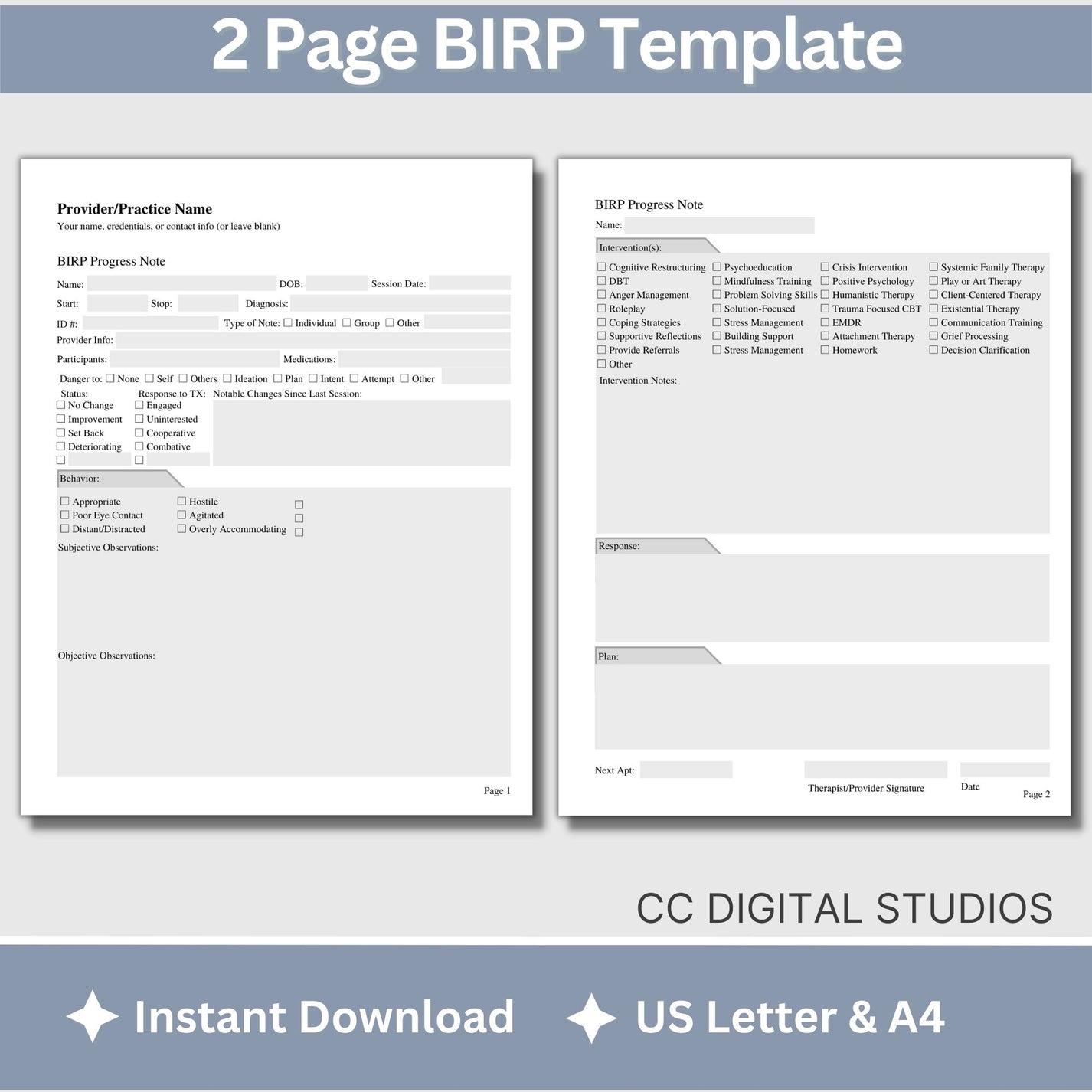 BIRP Progress Note Template: Thorough & Accurate Client Notes ...