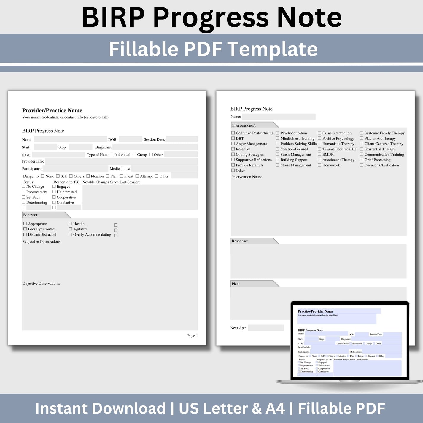 BIRP Progress Note Template: Thorough & Accurate Client Notes ...