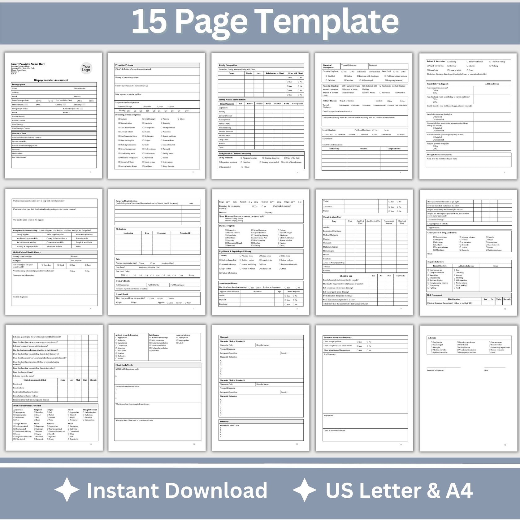 Biopsychosocial Client Intake Form: Editable WORD Doc for Private Prac ...