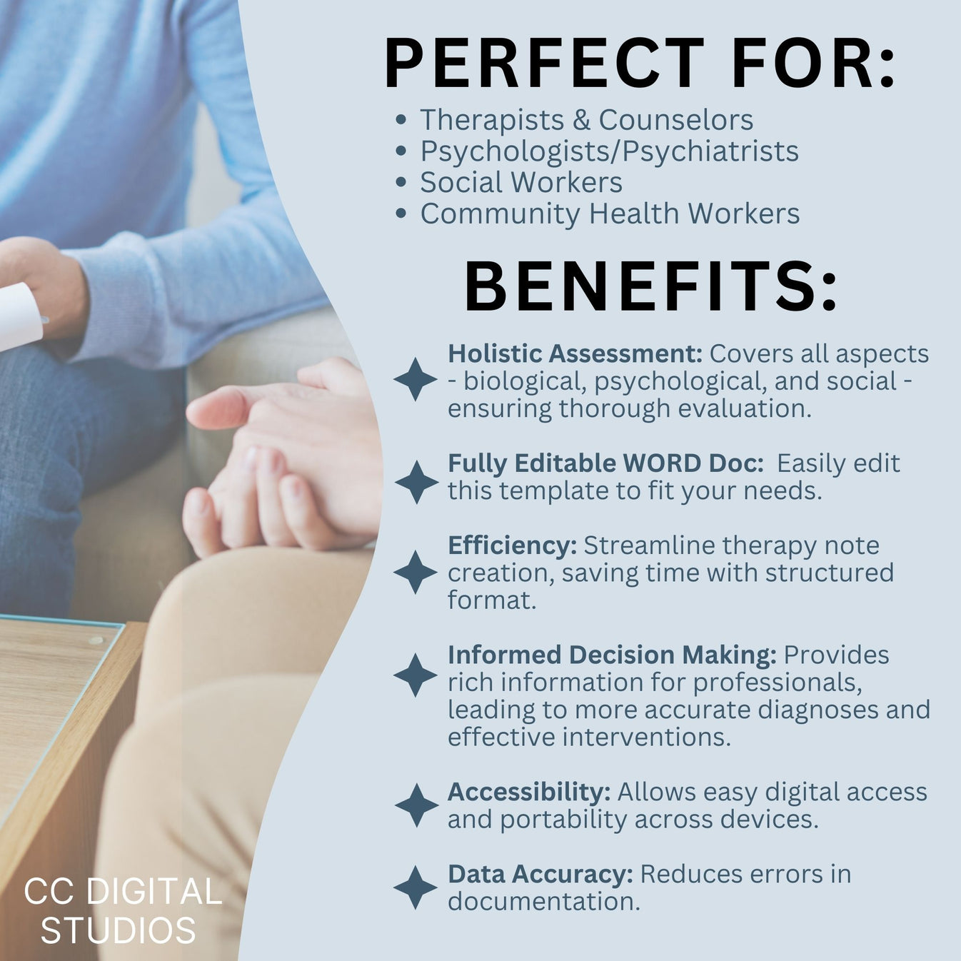 Biopsychosocial Client Intake Form: Editable WORD Doc for Private Prac ...