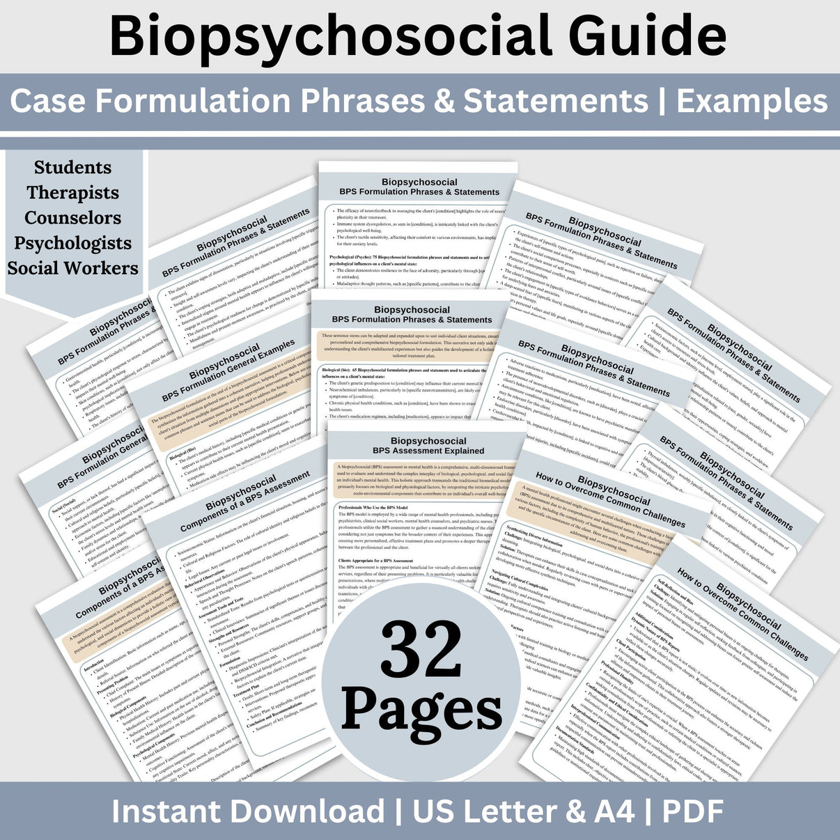 Biopsychosocial Guide: 240 Case Formulation Phrases & Strategies ...
