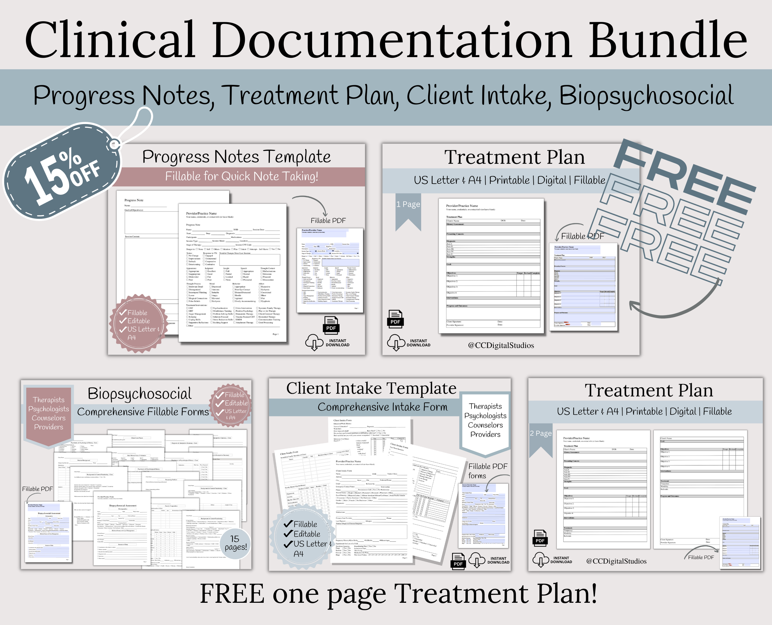 Clinical Documentation Bundle with Free Treatment Plan: Practice Essen ...