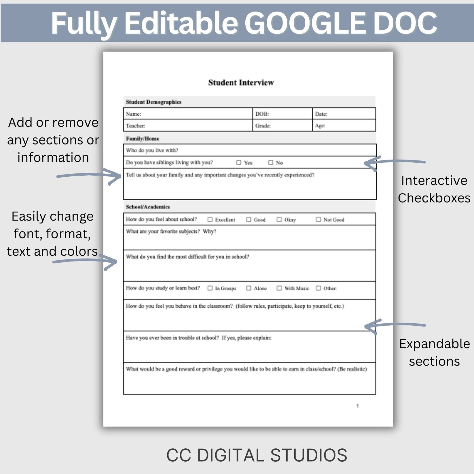 Student Interview Form: Essential Tool for School Counselors and Psych ...