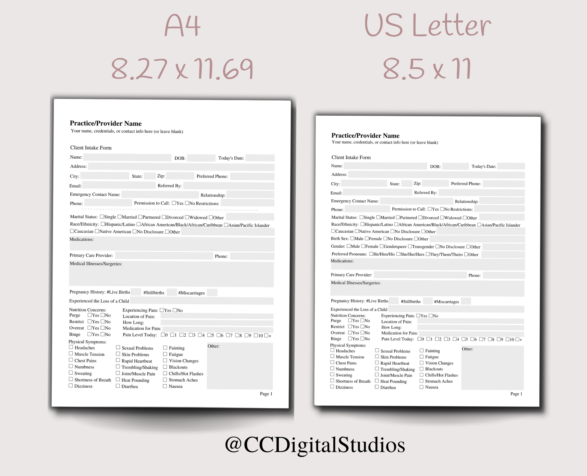 Best Seller Therapy Documentation Bundle – CCDigitalStudios